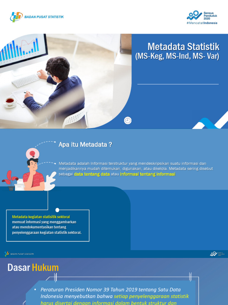 5 Tata Cara Pengisisan Metadata Statistik | PDF | Bisnis