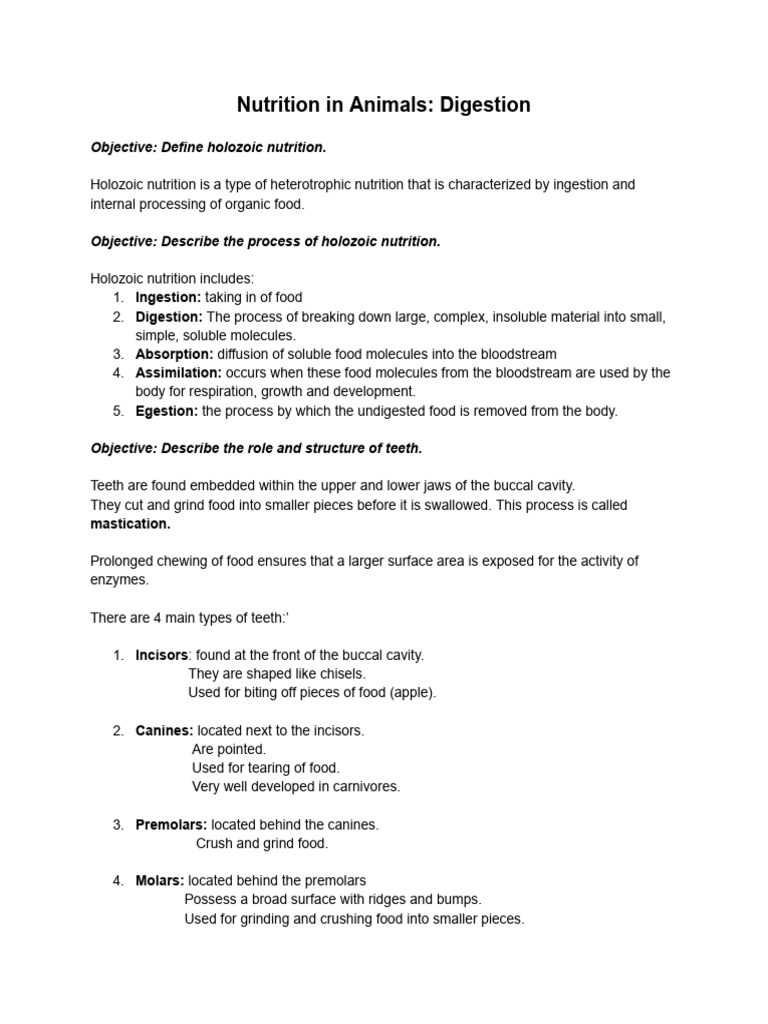 Understanding Holozoic Nutrition in Animals | PDF | Tooth | Digestion