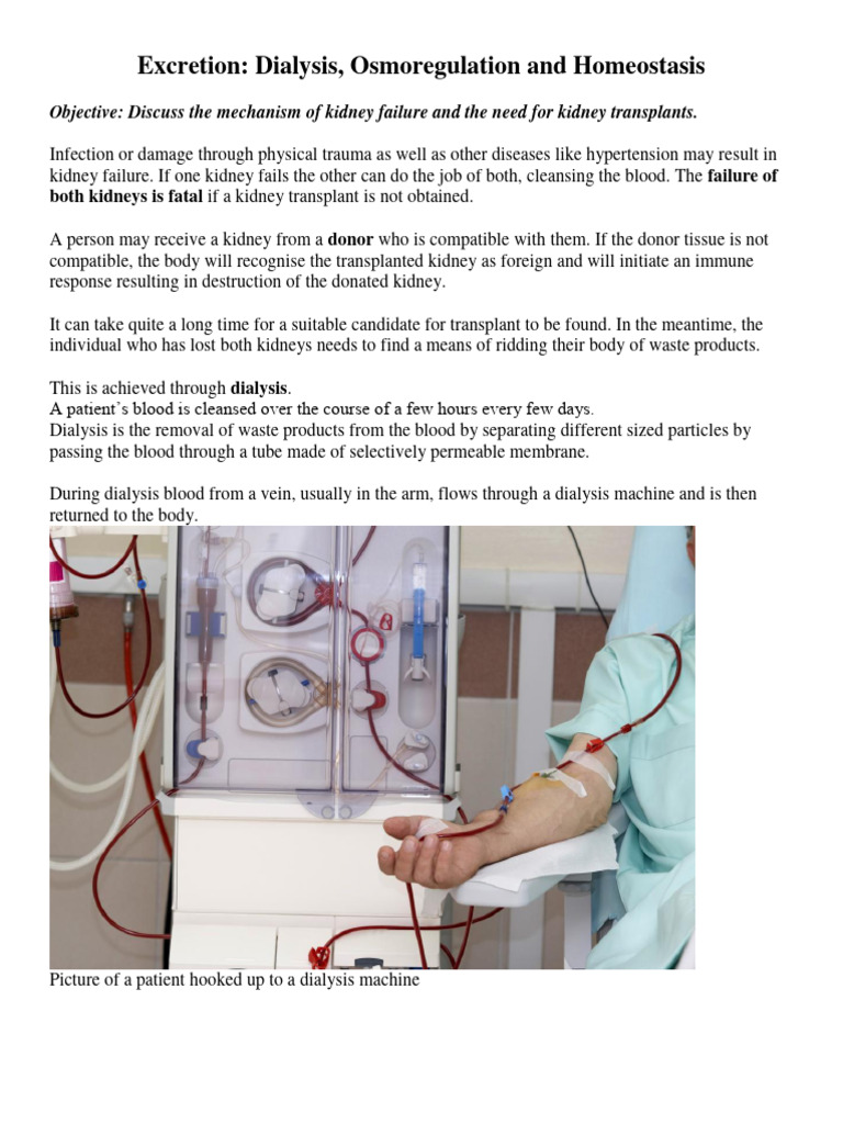 Excretion, Dialysis, Osmoregulation, Homeostasis | Download Free PDF ...