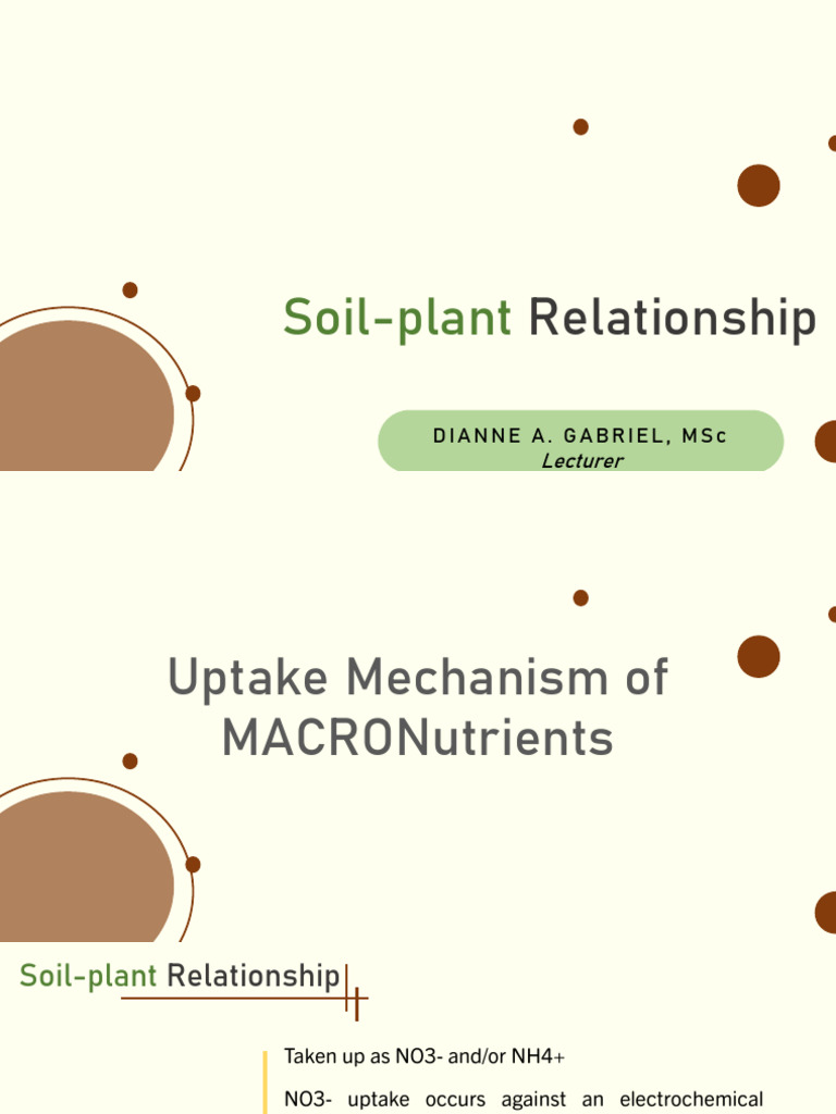 1 - Soil Plant Relationship - Part 2 | PDF | Soil | Nutrients
