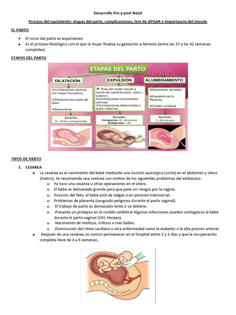 9 Proceso del nacimiento etapas del parto, | PDF | Parto | Seccion de ...