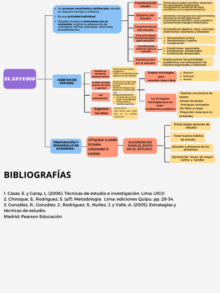 Gráfico Con Mapa Conceptual en Forma de Árbol Ordenado Multicolor | PDF | Pensamiento | Verdad