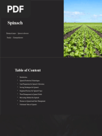 FNH Sba 1 Time Plan | PDF | Salad | Garlic