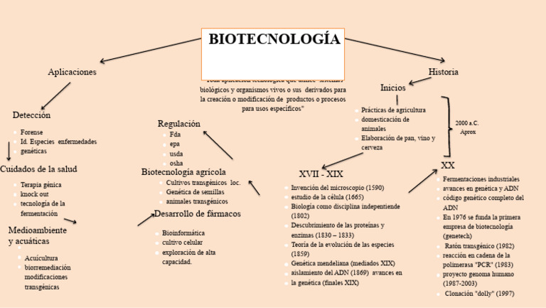 Mapa-conceptual-de-la-Biotecnologia-2 | PDF | Biotecnología | Organismo genéticamente modificado