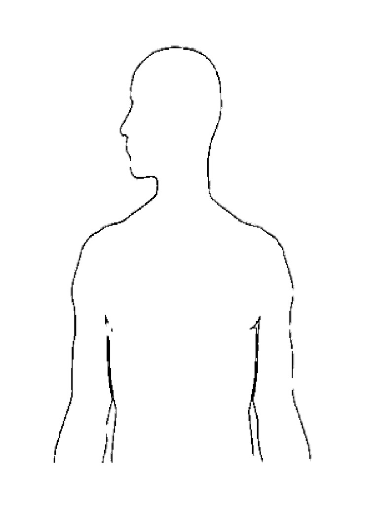 Human Body Outline | PDF
