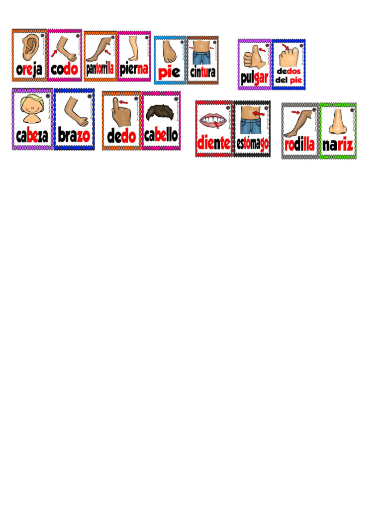 16-CARDS-PARTES-DEL-CUERPO | PDF