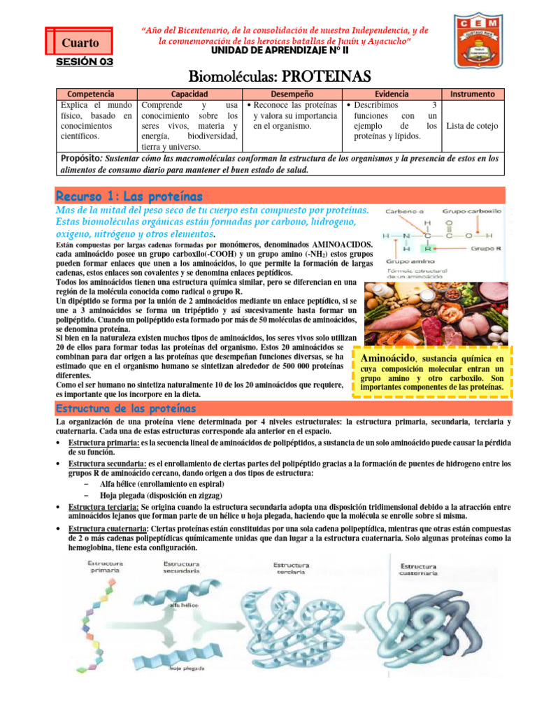 Sesion 03 - Ficha Estudiante - Proteina | PDF | Estructura proteica | Proteínas