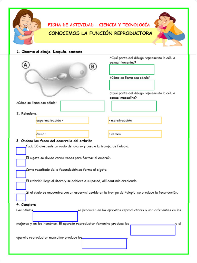 Ficha de Trabajo Sobre Función Reproductora-1 | PDF