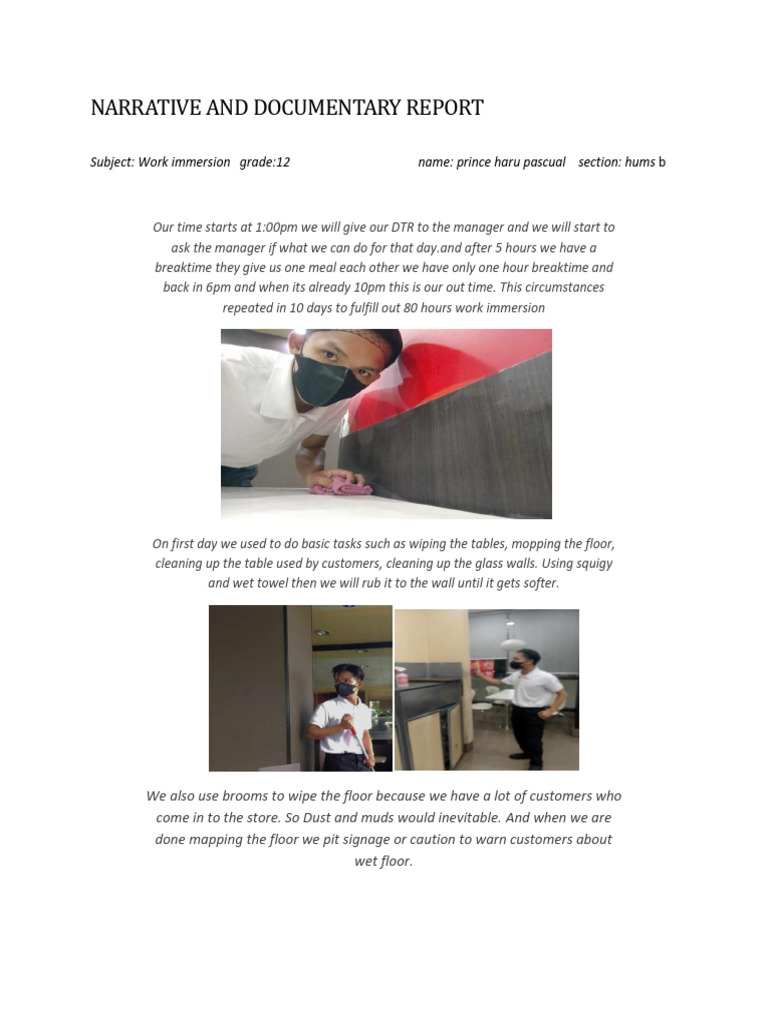 Narrative and Documentary Report | PDF