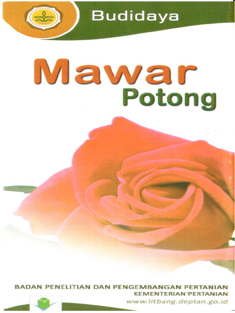 Budidaya Mawar Potong | PDF