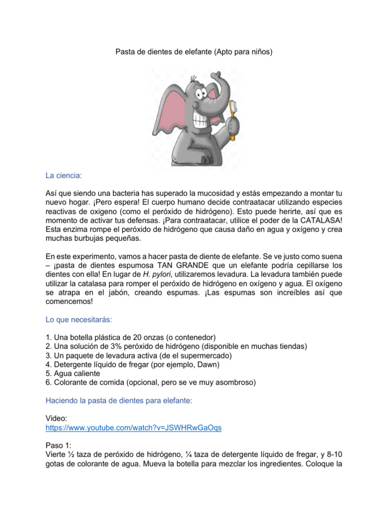 Bacteria - Elephant Toothpaste Instructions_Spanish | PDF