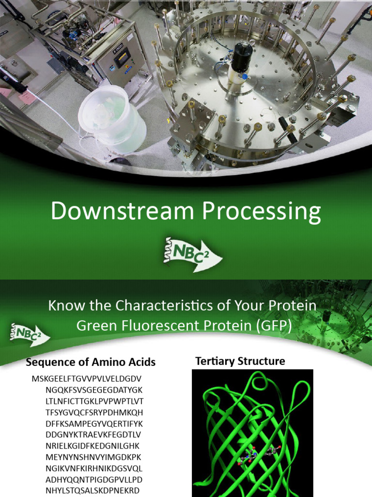 8 Downstream Processing | PDF | Chromatography | Protein Purification