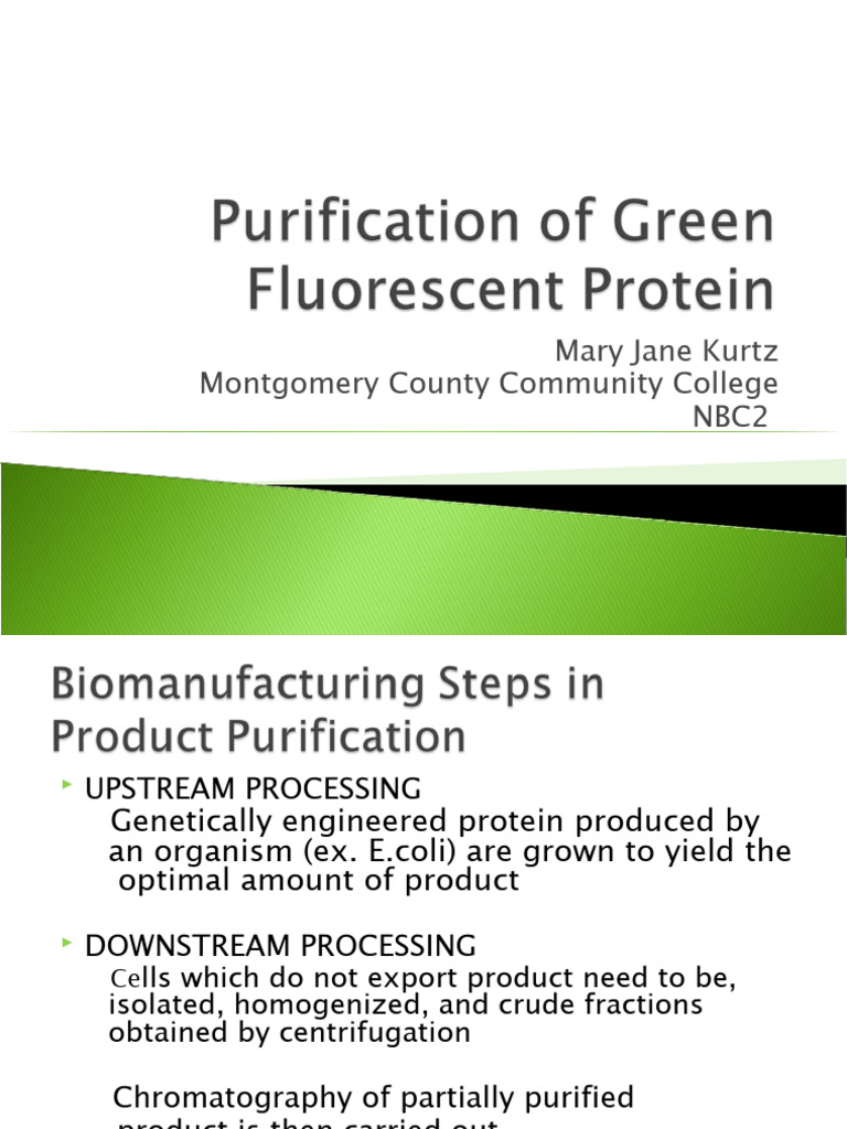 Introduction To Column Chromatography | PDF | Chromatography | Adsorption