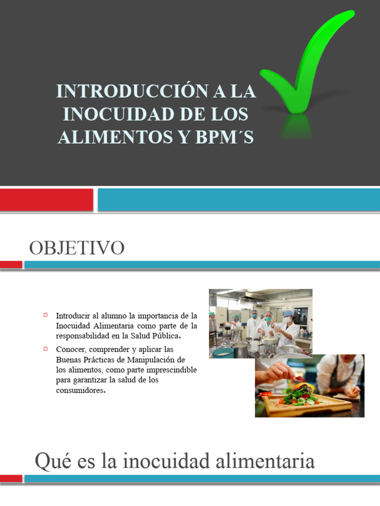 HIGIENE Y SEGURIDAD ALIMENTARIA DIPLOMADO (Autosaved) | PDF | Seguridad ...