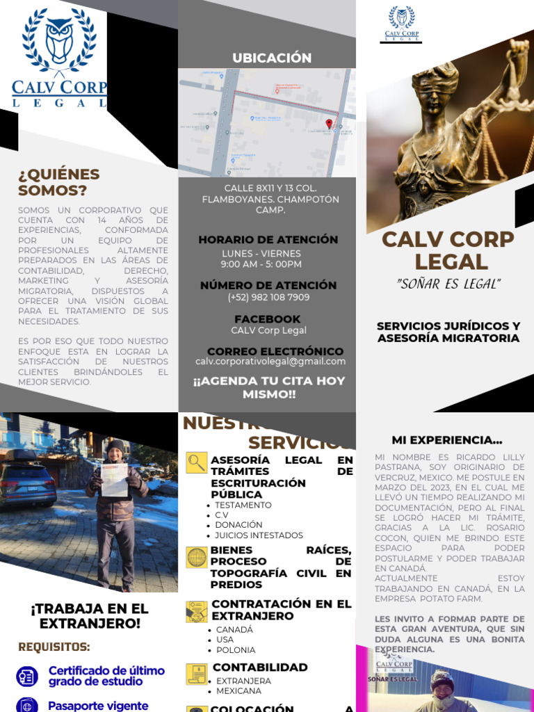 Folleto Brochure de Servicios Empresa Profesional amarillo_20240409 ...