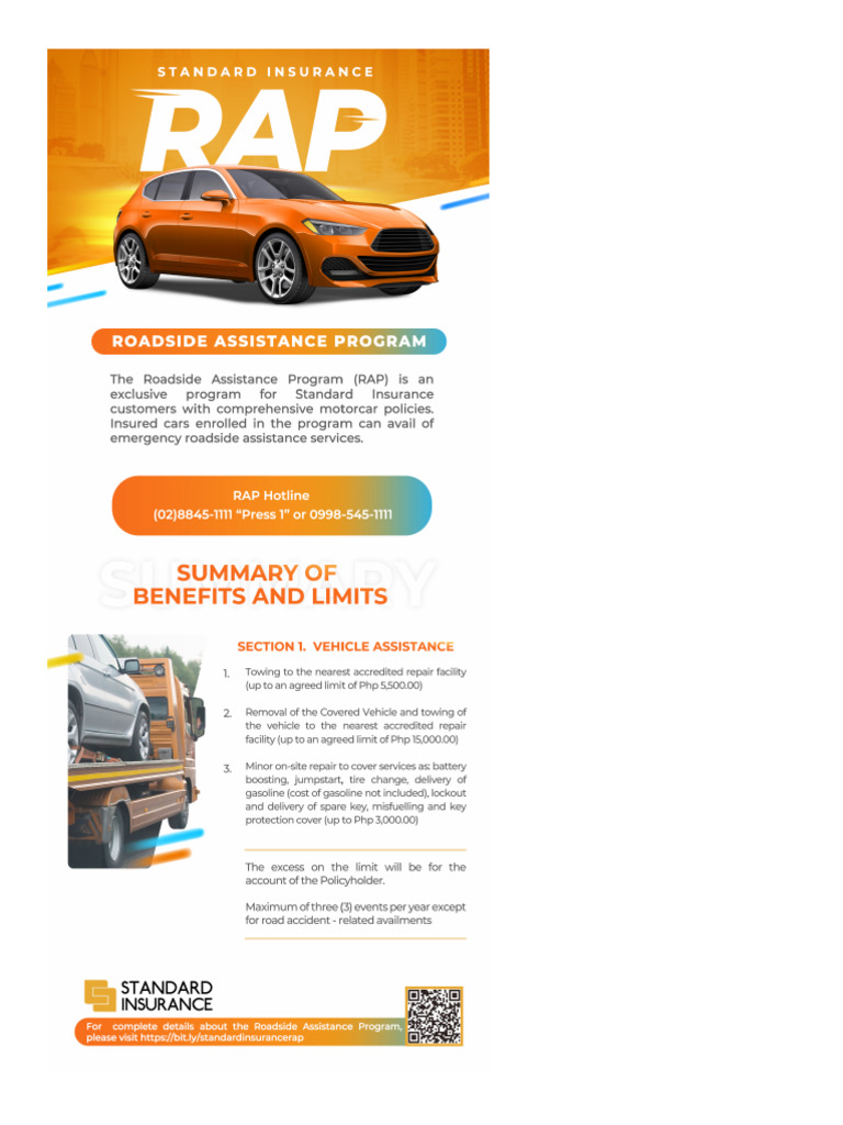 RAP FLyer Front | PDF