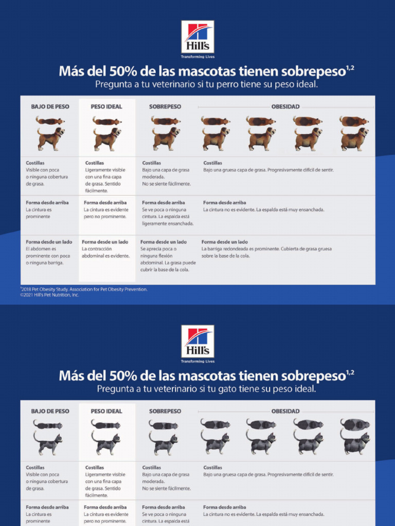 Bfi Chart Pets Spanish Text Version | PDF