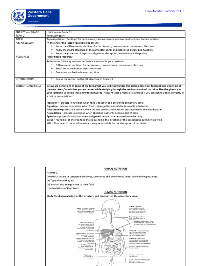 Life Sciences Grade 11 Term 2 Week 4 2020 | PDF | Digestion | Human ...