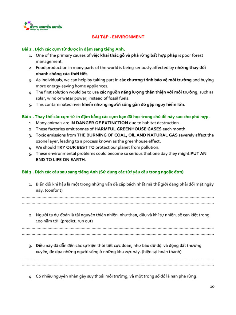 B1 Environment | PDF