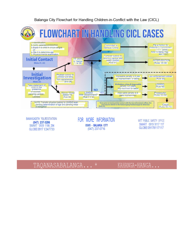 Flow Charts Protection | PDF | Aggression | Crime & Violence