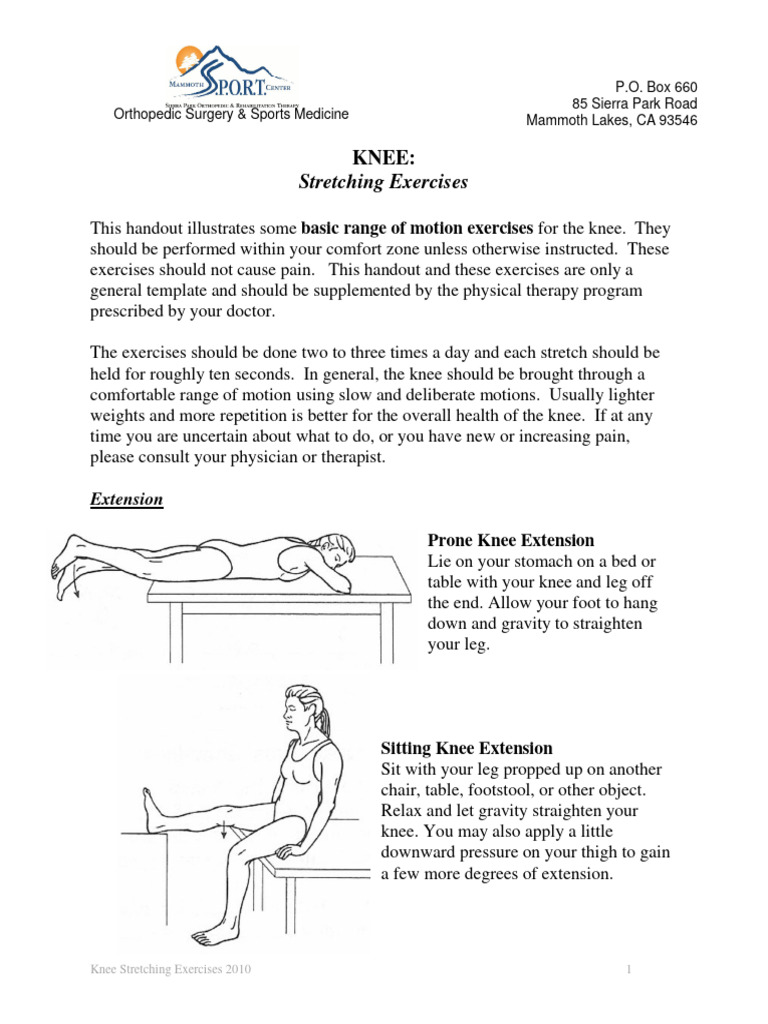 Knee Stretching Guide for Patients | PDF | Anatomical Terms Of Motion ...