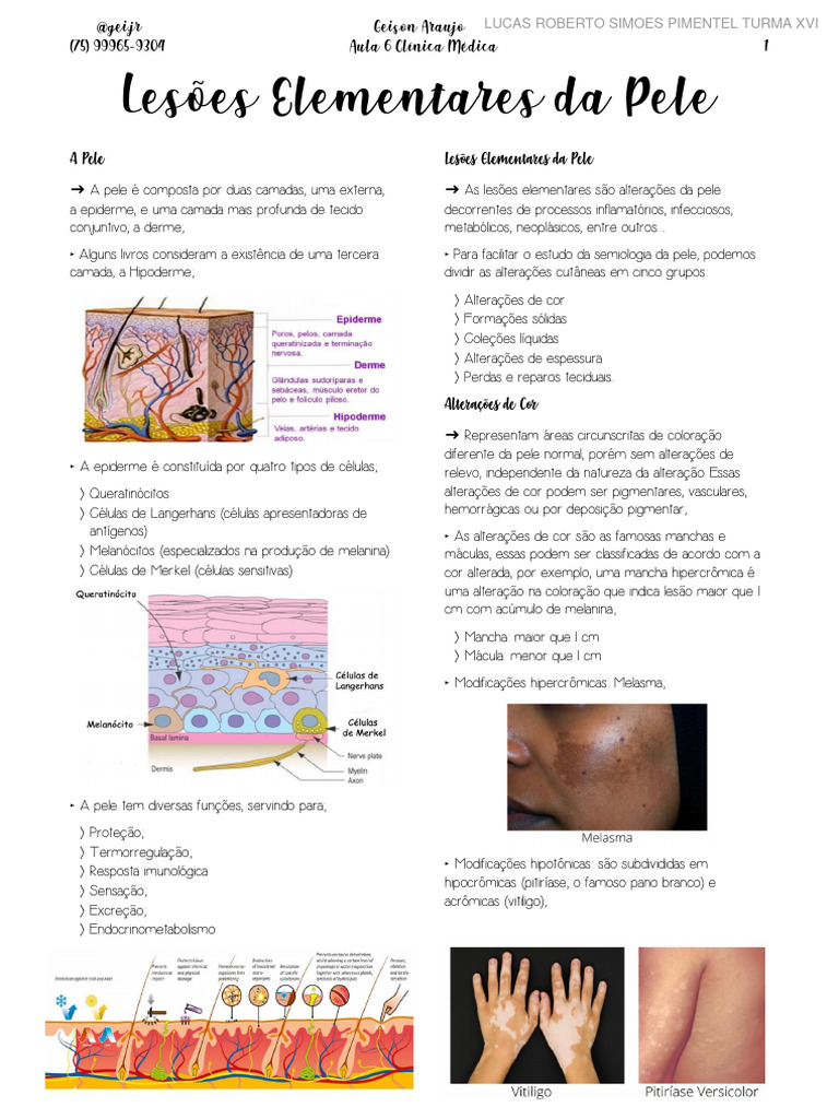 Lesões Elementares da Pele | PDF | Pele | Especialidades médicas