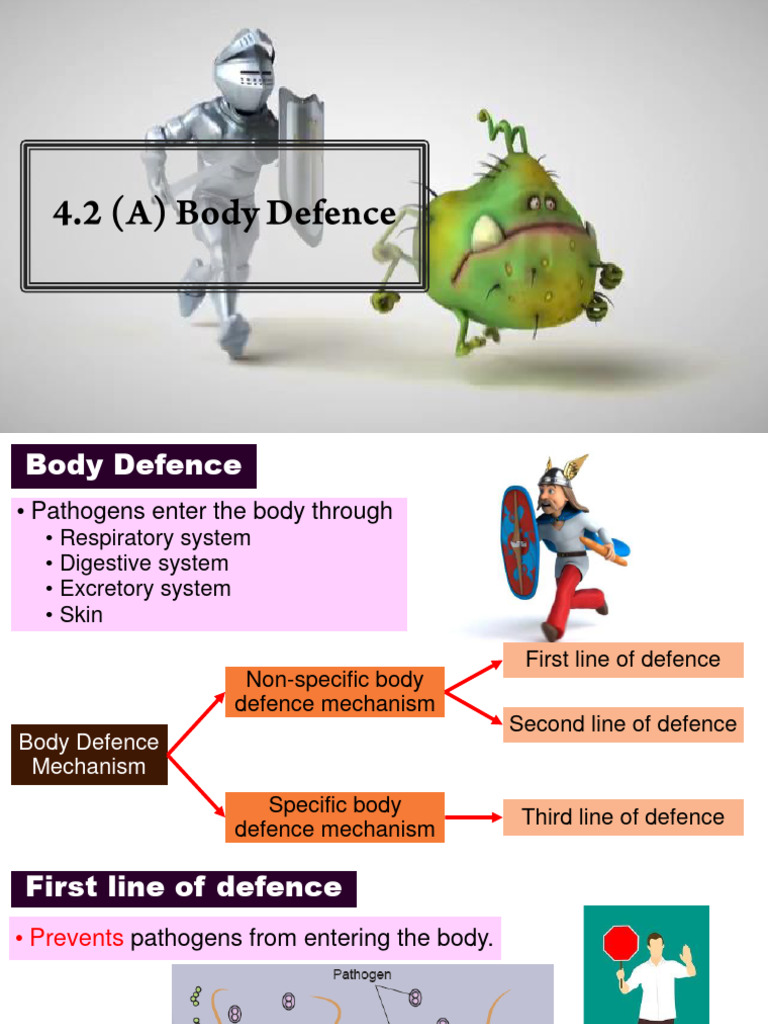 4.2 (A) Body Defence | PDF | Antibody | Mucus