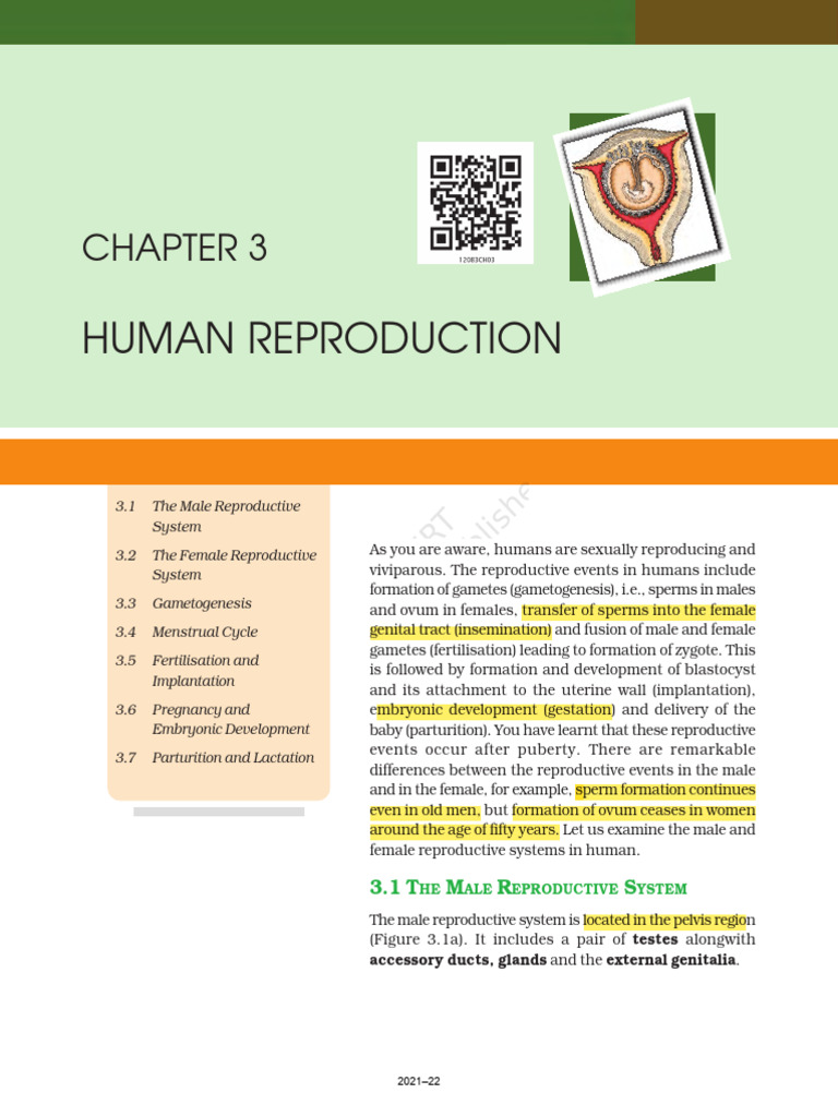 Human Reproduction (1) 2 | Download Free PDF | Menstrual Cycle | Testicle