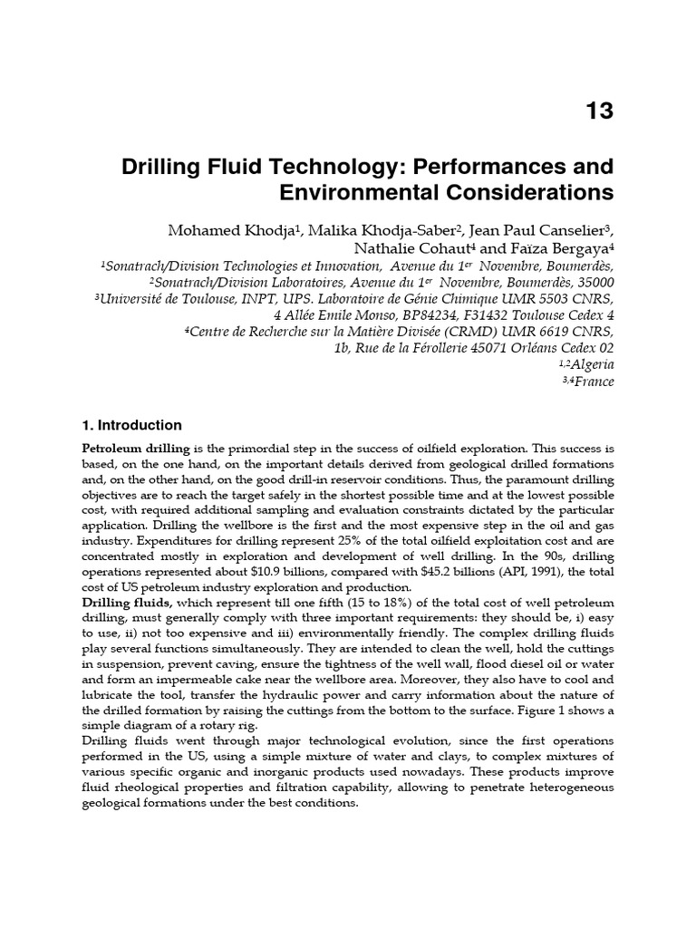 Drilling Fluid Technology - Performances and Environmental ...
