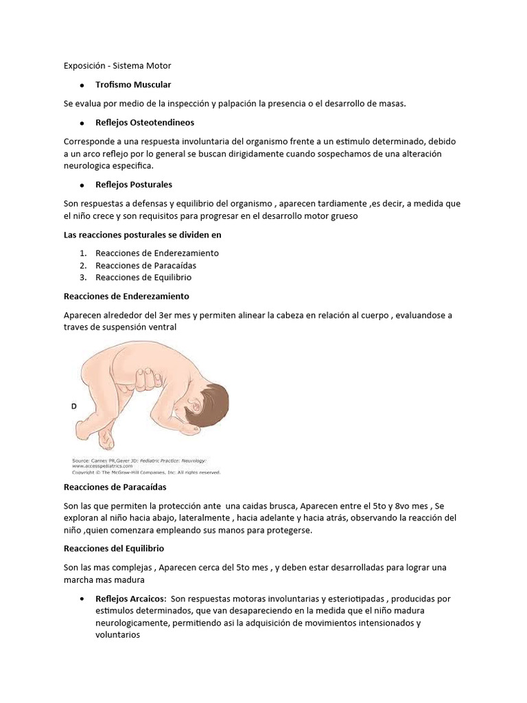 Anthony Mora - Exposición - Examen Neurologico Pediatrico | PDF