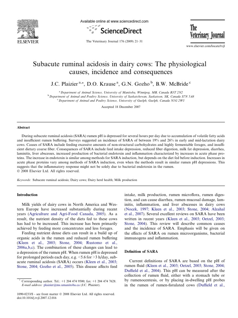 Understanding Subacute Ruminal Acidosis | PDF | Dairy Cattle | Cattle