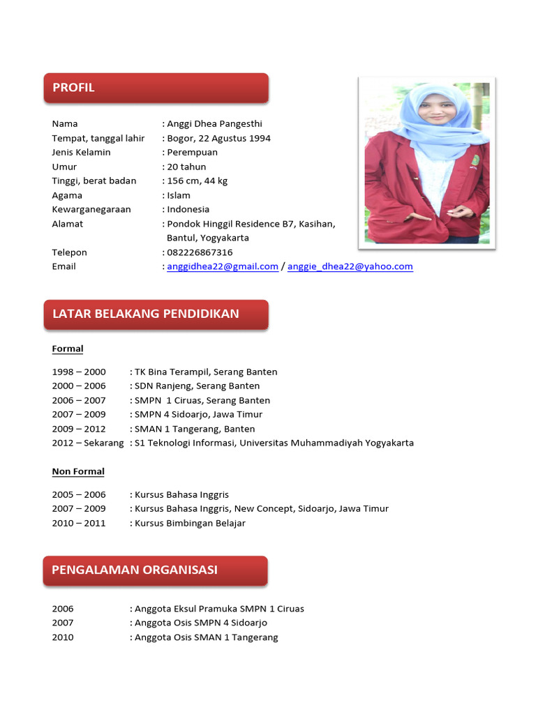 CV Anggi | PDF | Seni