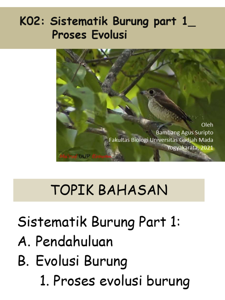 K02-Sistematik Burung Part 1 - Proses Evolusi - Bas2021 | PDF | Dinosaurs | Zoology