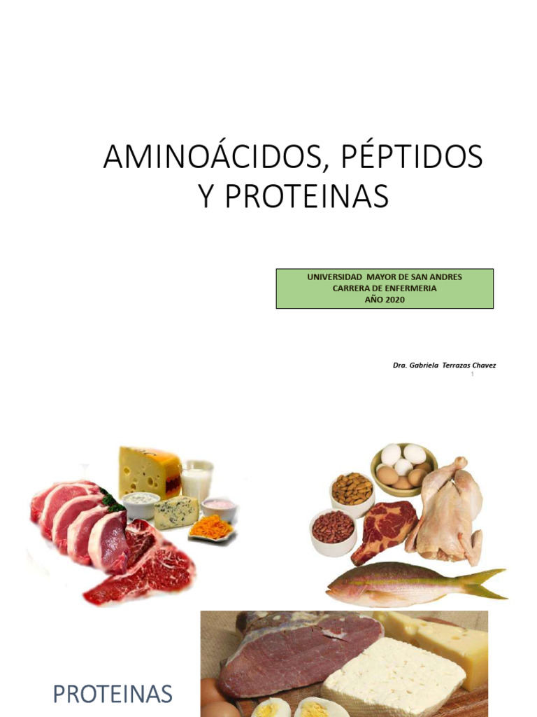 1 Presentacion de Aminoácidos, Peptidos y Proteínas | PDF | Aminoácidos ...