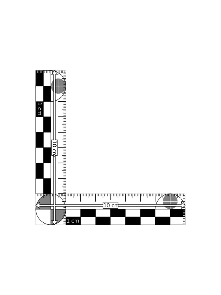 Testigo Metrico 1 | PDF