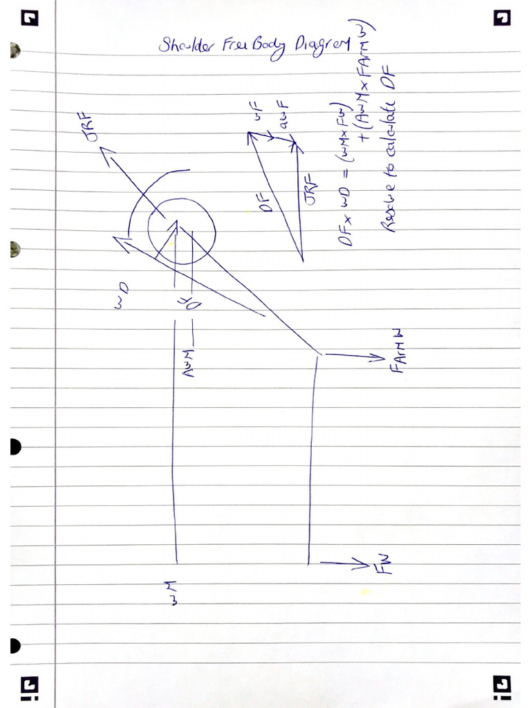 Free Body Diagram Shoulder | PDF