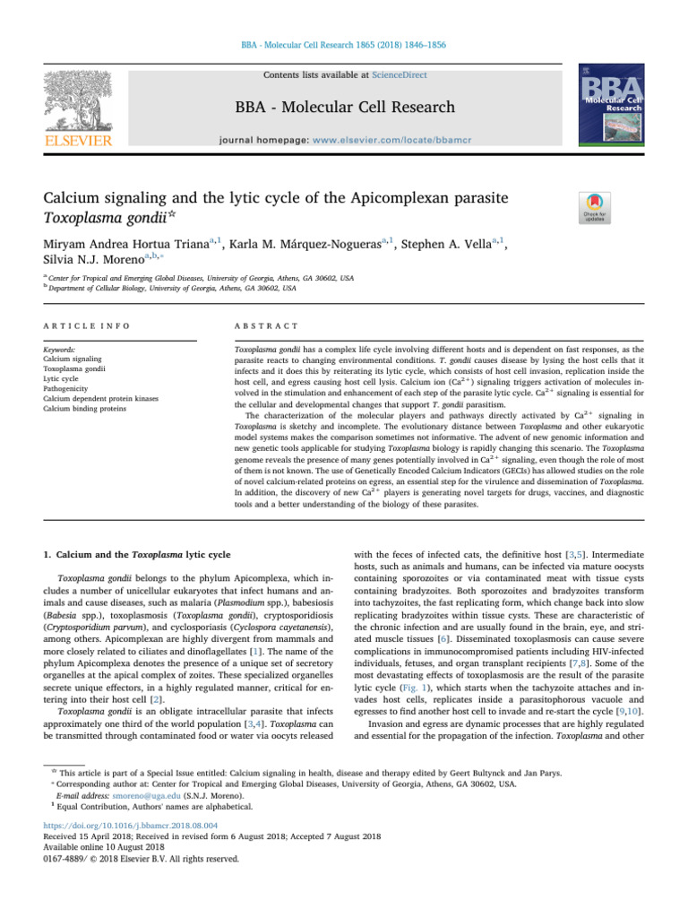 Calcium Signaling and The Lytic Cycle of - 2018 - Biochimica Et Biophysica Acta | PDF | Calcium ...