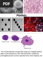 Interpreting Idexx Procyte DX Hematology Analyzer Dot Plots | PDF ...