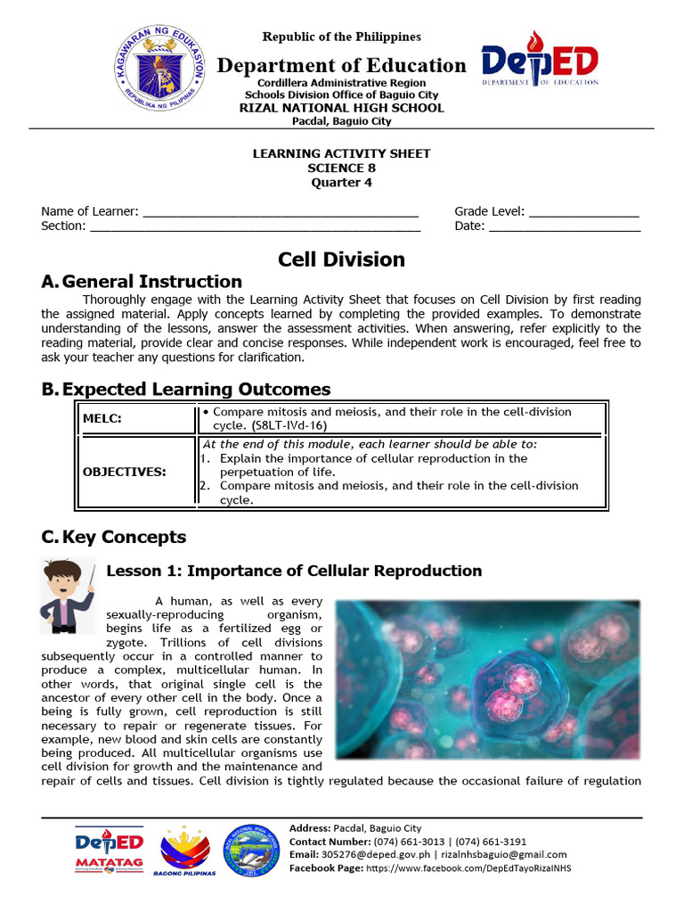 Learning Activity Sheet Science 8 Cell Division | Download Free PDF ...