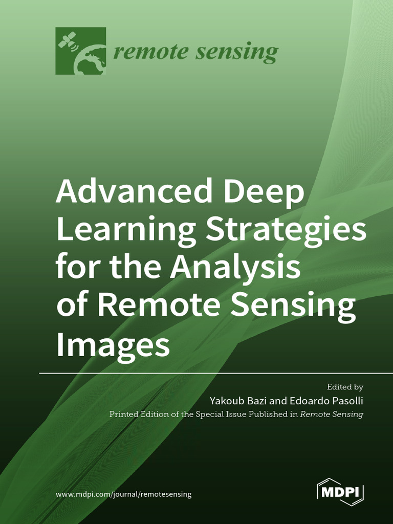 Advanced Deep Learning Strategies For The Analysis of Remote Sensing ... Advanced Deep Learning Strategies For The Analysis of Remote Sensing ...