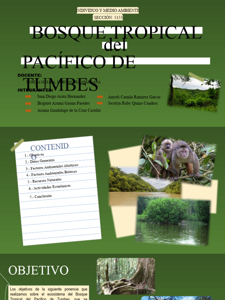 Ecosistema - Bosque Tropical Del Pacifico de Tumbes | PDF | Biodiversidad | Los bosques