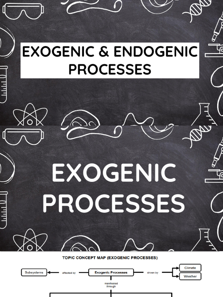 Exo Endo | Download Free PDF | Volcano | Lava