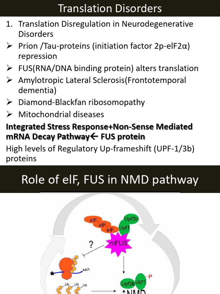 Translation Disorders | PDF | Translation (Biology) | Mitochondrion