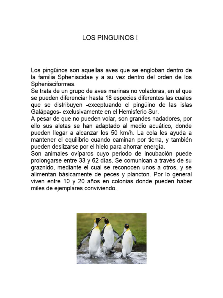 Características y alimentación de pingüinos | PDF | Pingüino | Aves