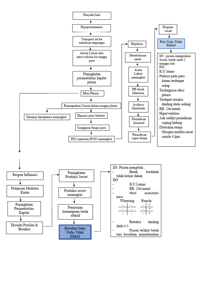 Patoflow Diagram Efusi Pleura | PDF