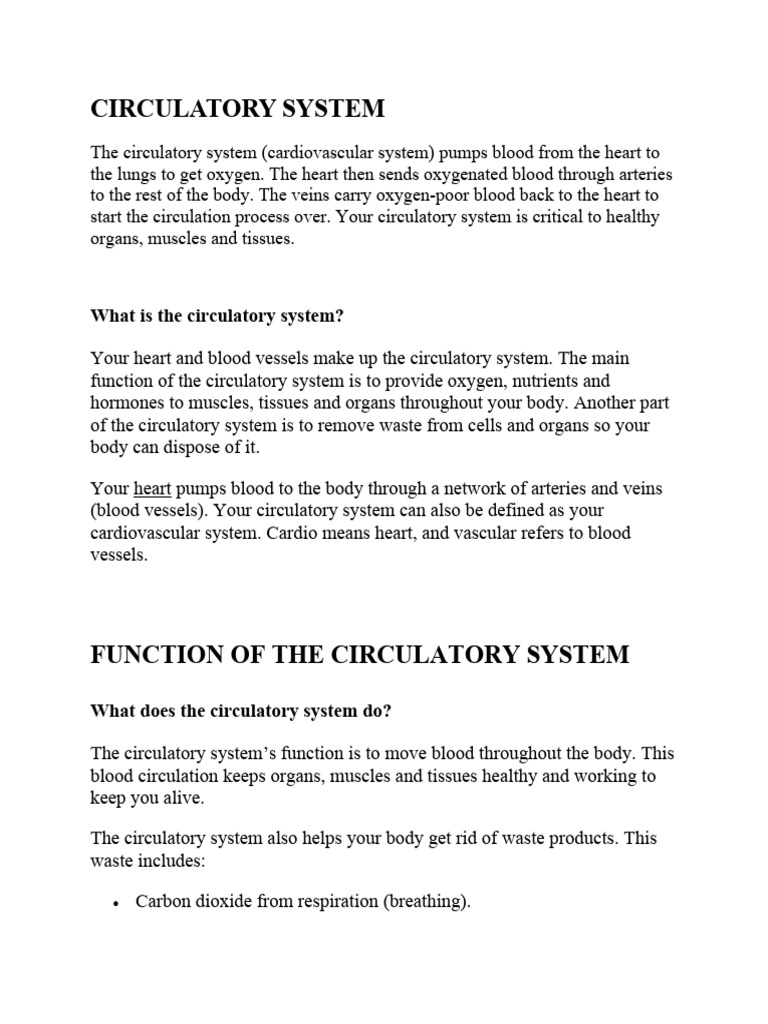 Circulatory System Pdf Blood Heart