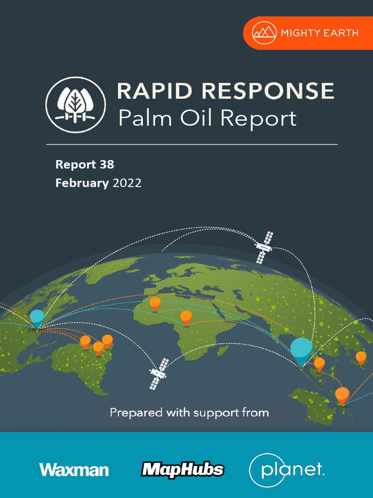 Palm Oil Deforestation Report 2022 | PDF | Deforestation | Palm Oil
