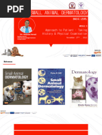 Canine Pruritus Visual Analog Scale | PDF