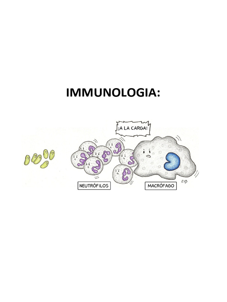 Immunologia Anna | PDF