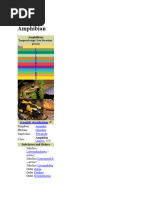 Classification of Frogs | PDF | Frog | Amphibian